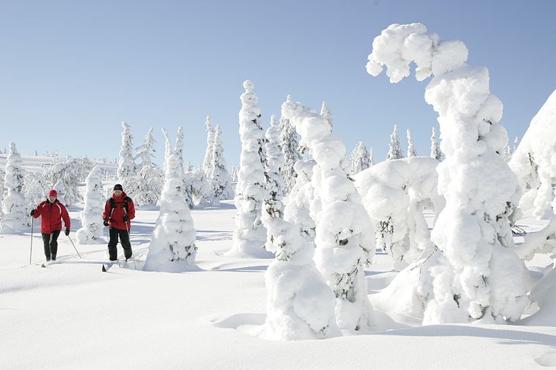Travellers in Northern Finland left stranded as winter temperatures ...